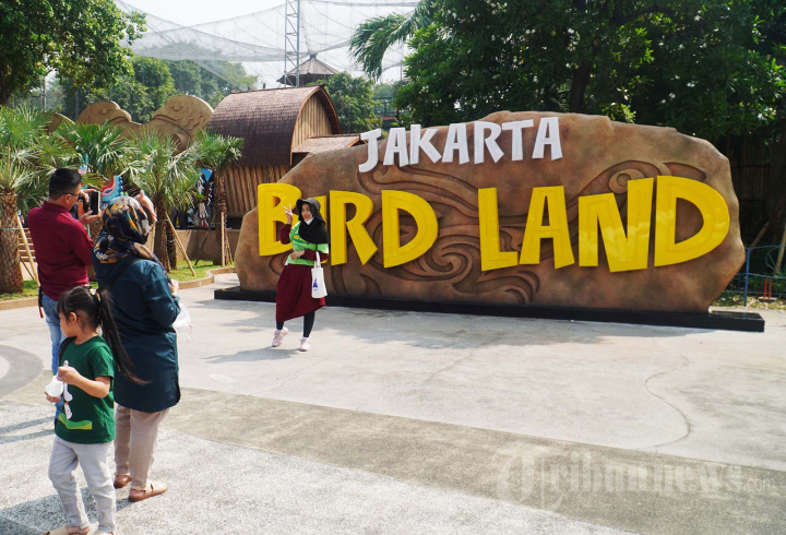 Wisata di Jakarta Bird Land Ancol, Foto 4 #1943983 - TribunNews.com