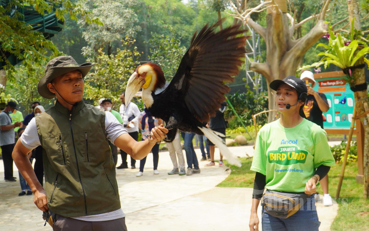 Wisata di Jakarta Bird Land Ancol, Foto 5 #1943984 - TribunNews.com