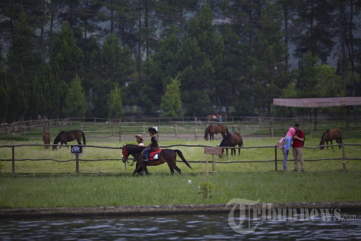 Wisata Kuda di Lembang, Foto 3 #1514662 - TribunNews.com