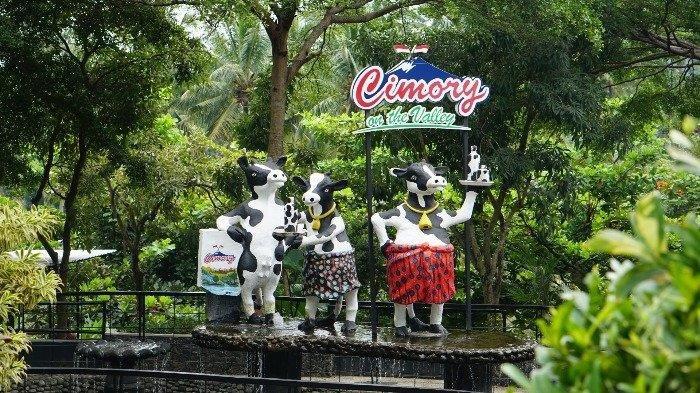Cimory On The Valley - TribunnewsWiki.com