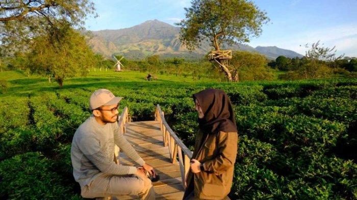 Kebun Teh Wonosari Malang - TribunnewsWiki.com