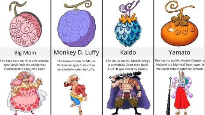Buah Iblis - Devil Fruit (One Piece) - TribunnewsWiki.com