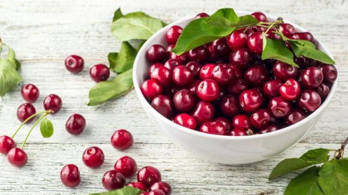 Buah Kersen (Muntingia calabura) - TribunnewsWiki.com