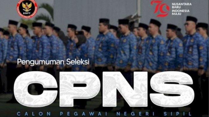 Cara Cek Pengumuman Hasil Seleksi Administrasi CPNS 2024, Lengkap Dengan 70 Link Tiap Instansi ...