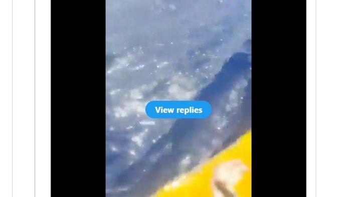 Viral Video Gembong Narkoba Diikat di Jangkar & Dilemparkan ke Laut ...