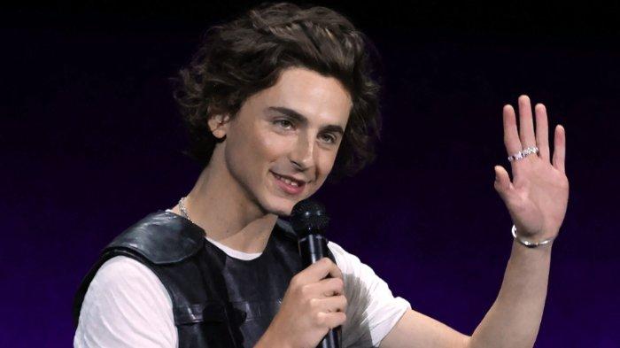 Profil Timothee Chalamet, Aktor Tampan Pemeran Willy Wonka Muda, Pernah ...