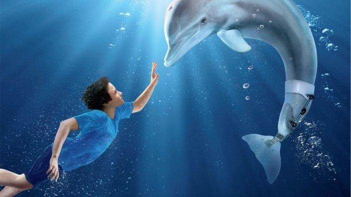Film - Dolphin Tale (2011) - TribunnewsWiki.com