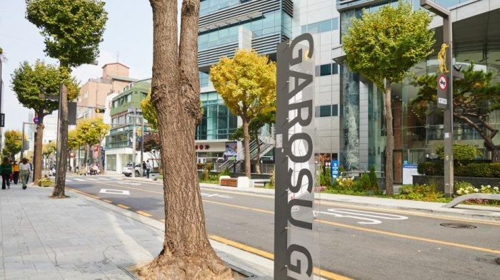 Garosu-gil Road - TribunnewsWiki.com