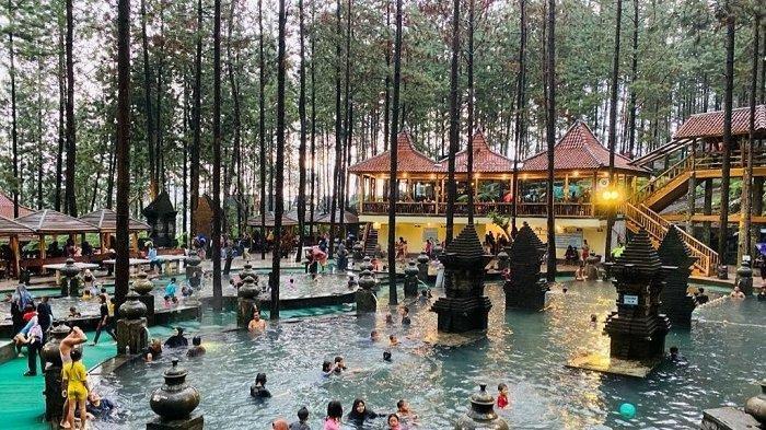 Wisata Guci Forest: Lokasi, Daya Tarik, Fasilitas, Harga Tiket, Jam ...