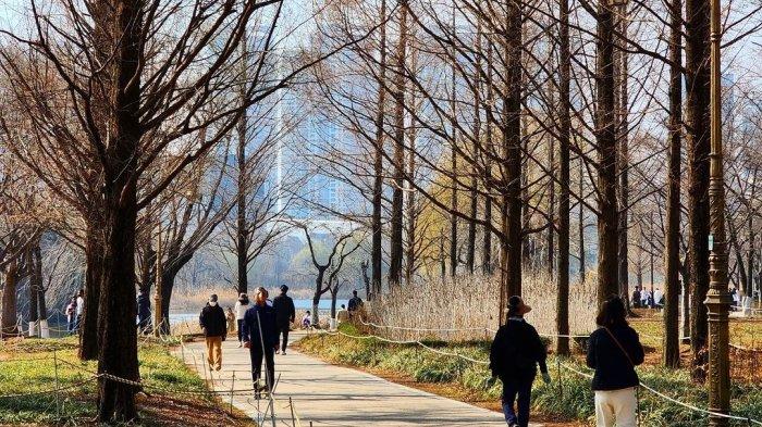 Ilsan Lake Park - TribunnewsWiki.com