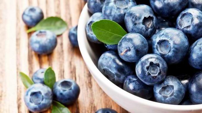 Blueberry (Bluberi) - TribunnewsWiki.com