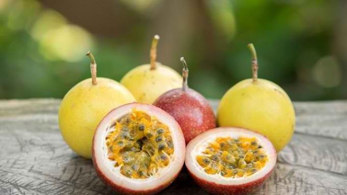 Markisa (Passiflora flavicarpa) - TribunnewsWiki.com