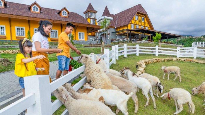 Cepogo Cheese Park Boyolali - TribunnewsWiki.com