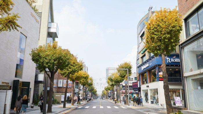 Garosu-gil Road - TribunnewsWiki.com