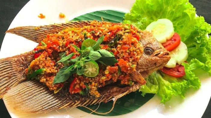 Javanine Resto - TribunnewsWiki.com