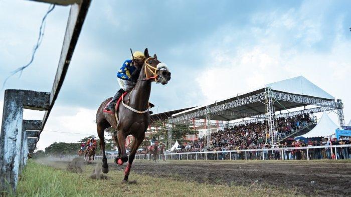 Potensi Besar Pacuan Kuda Indonesia, Sarga.co Tangkap Momentum ...