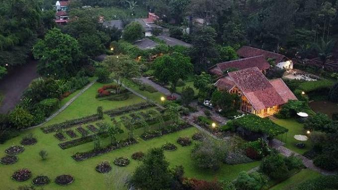 Kebun Mawar Situhapa Garut - TribunnewsWiki.com