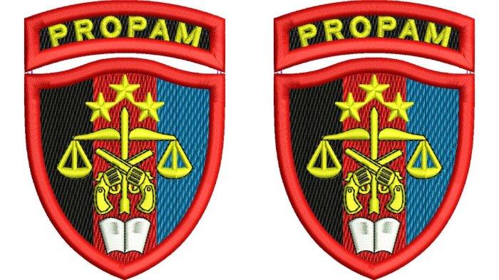 Apa Itu Propam ? Divisi Profesi dan Pengamanan di Lingkungan Internal ...