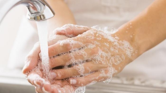 Najis Mutawassitah - TribunnewsWiki.com