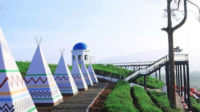 Nimo Highland - TribunnewsWiki.com