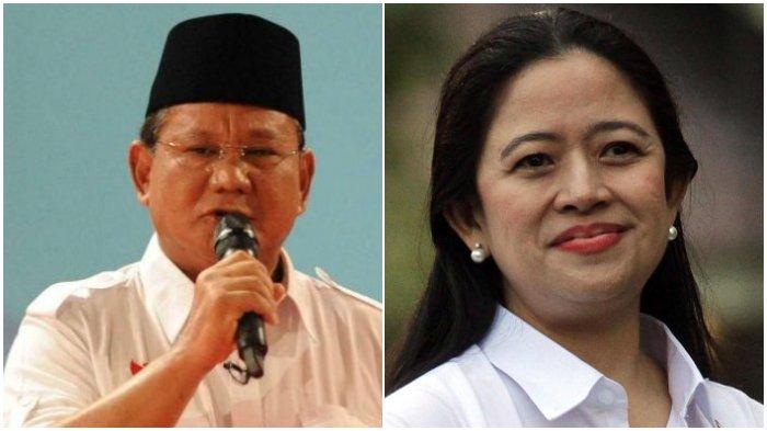 Puan Maharani Dinilai Ideal Dampingi Prabowo Subianto di Pilpres 2024 - TribunnewsWiki.com