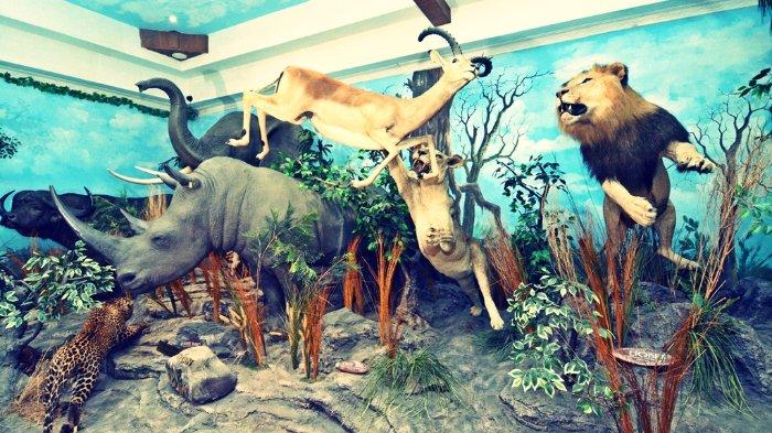 Rahmat International Wildlife Museum and Gallery - TribunnewsWiki.com