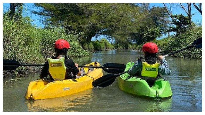 Wisata Kano Mangrove Baros Yogyakarta - TribunnewsWiki.com