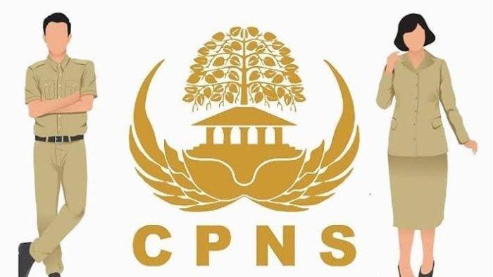 Seleksi CPNS 2024 Siap Dibuka 20 Agustus 2024, Peserta Wajib Menyiapkan Dokumen Ini ...