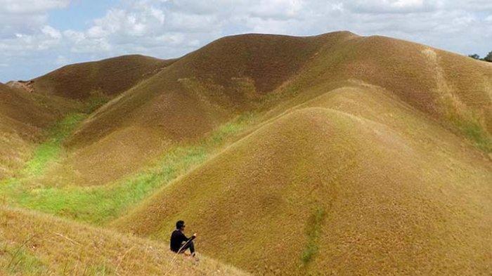 Taman Nasional Rawa Aopa Watumohai - TribunnewsWiki.com