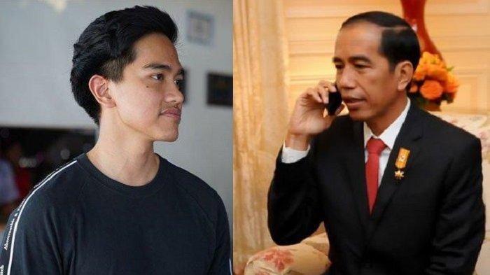 Kaesang Berpotensi Jadi Ketua Umum Usai Gabung ke PSI, Begini Kata Jokowi - TribunnewsWiki.com