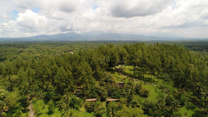 Wisata Bukit Dagi Magelang: Lokasi, Daya Tarik, Fasilitas, Harga Tiket ...