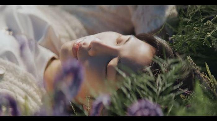 Lirik Lagu Wild Flower & Terjemahan Bahasa Indonesia - RM BTS ft Youjeen: Light a Flower ...