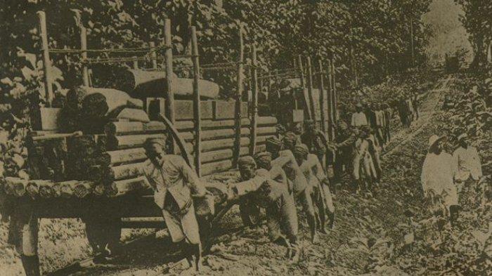 Alas Roban - TribunnewsWiki.com