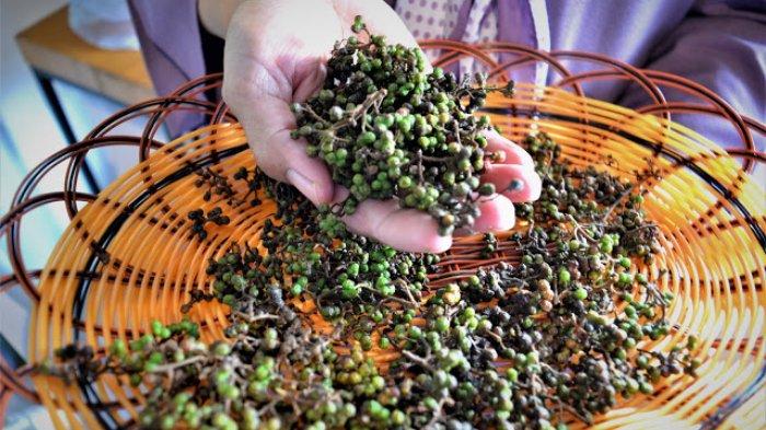 Andaliman - TribunnewsWiki.com