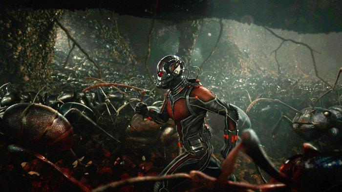 FILM - Ant-Man - TribunnewsWiki.com