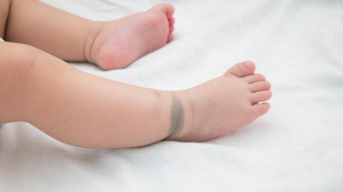 Bercak Mongol - TribunnewsWiki.com