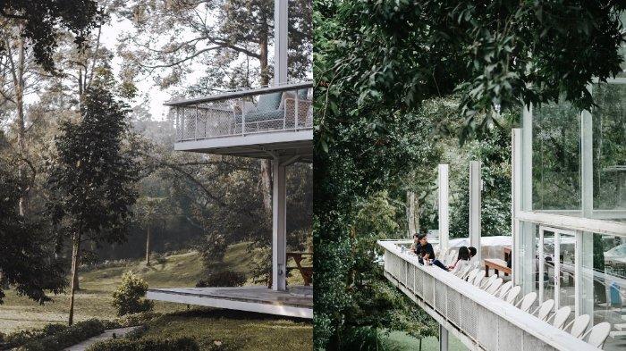 Bumi Kayom - TribunnewsWiki.com