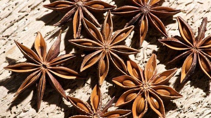 Bunga Lawang - TribunnewsWiki.com