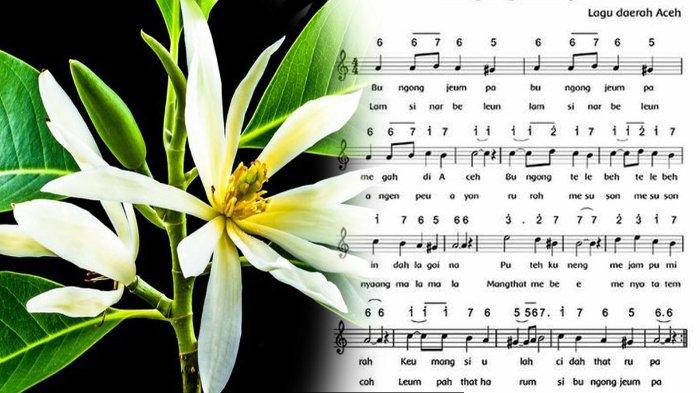 Bungong Jeumpa - TribunnewsWiki.com