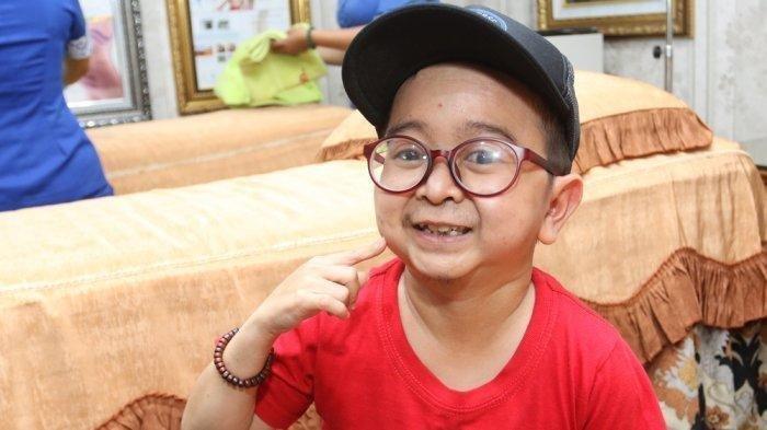 Daus Mini - TribunnewsWiki.com