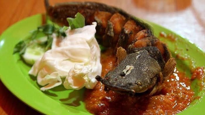 Pecel Lele - TribunnewsWiki.com