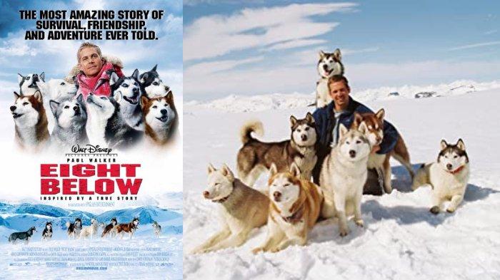FILM - Eight Below (2006) - TribunnewsWiki.com