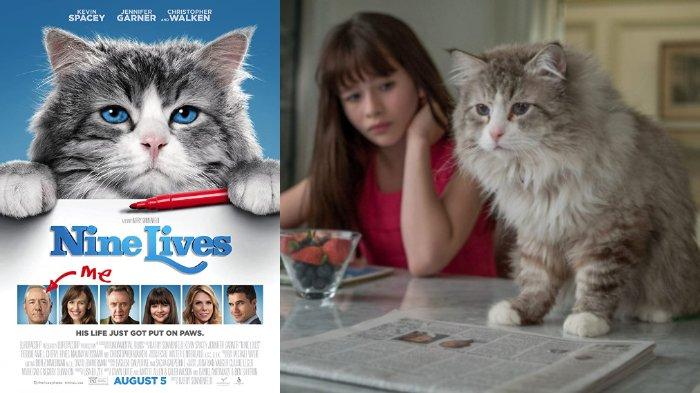 FILM - Nine Lives (2016) - TribunnewsWiki.com