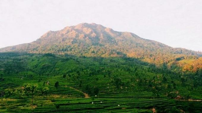 Gunung Ungaran - TribunnewsWiki.com