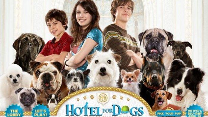 Hotel for Dogs (2009) - TribunnewsWiki.com