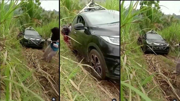 Viral Mobil Google Maps Nyasar di Kebun Tebu Malang, Netizen Sebut Karma - TribunnewsWiki.com