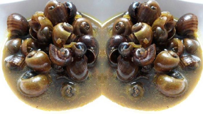 Kraca - TribunnewsWiki.com