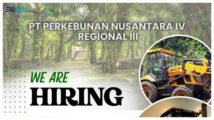 Cara Daftar Lowongan Kerja PT Perkebunan Nusantara IV Regional III untuk Lulusan SMA/SMK ...