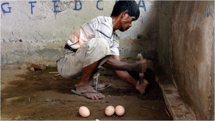 Burung Maleo - TribunnewsWiki.com