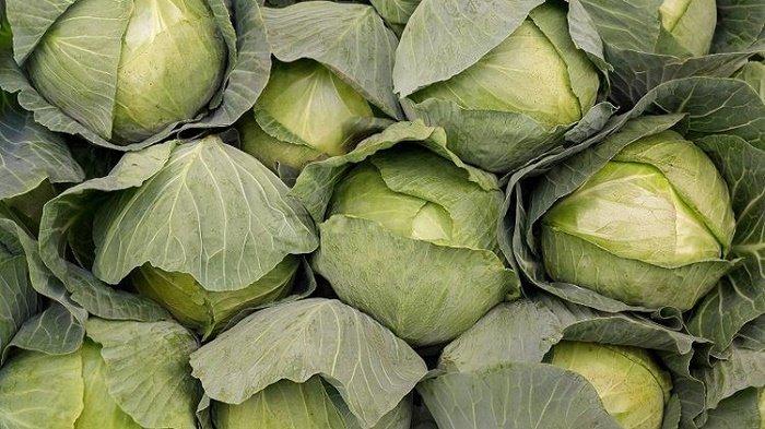 Jarang yang Tahu, Rasakan 8 Manfaat Kesehatan Ini saat Rutin Makan ...